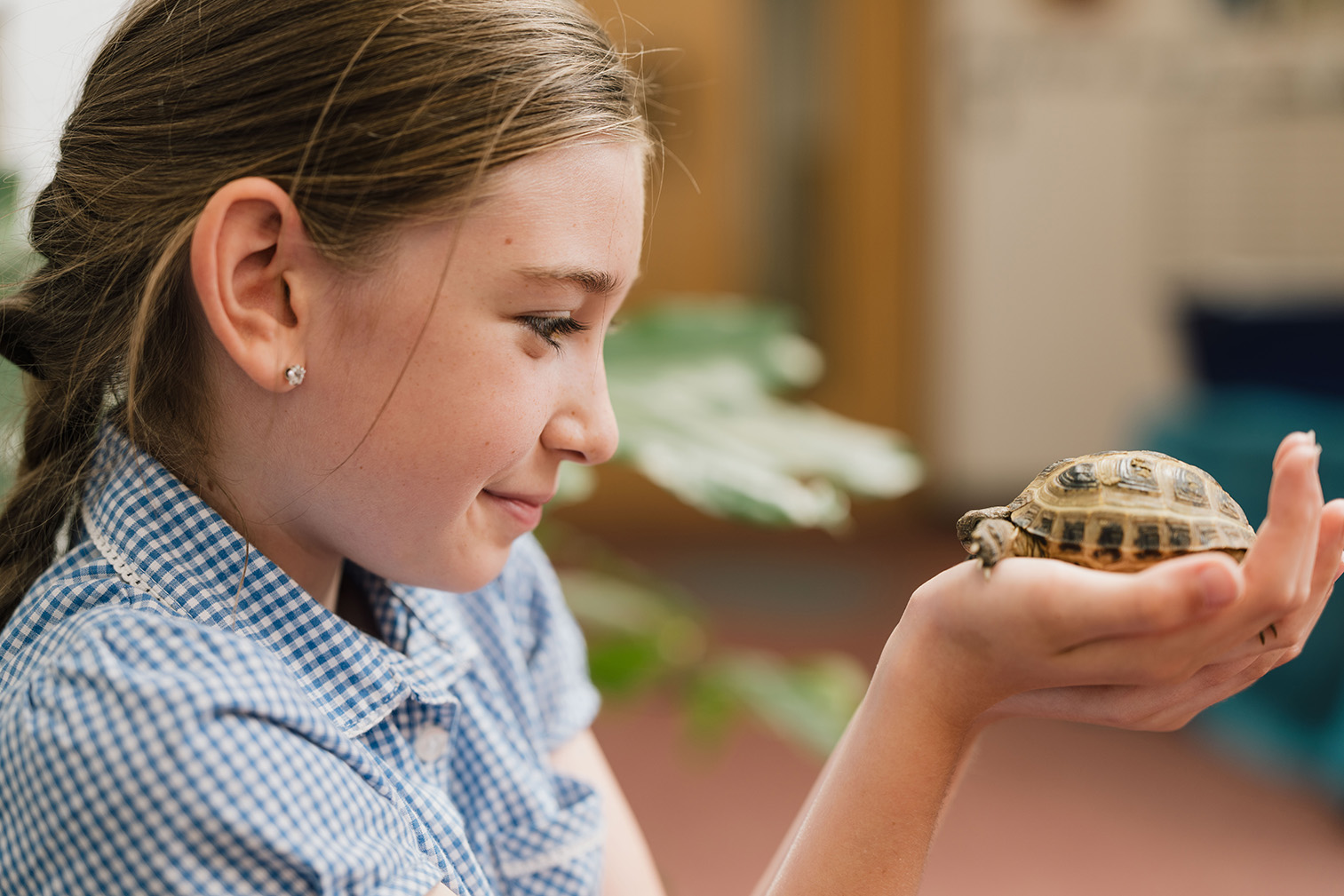 Our Trust - Spark Education Trust